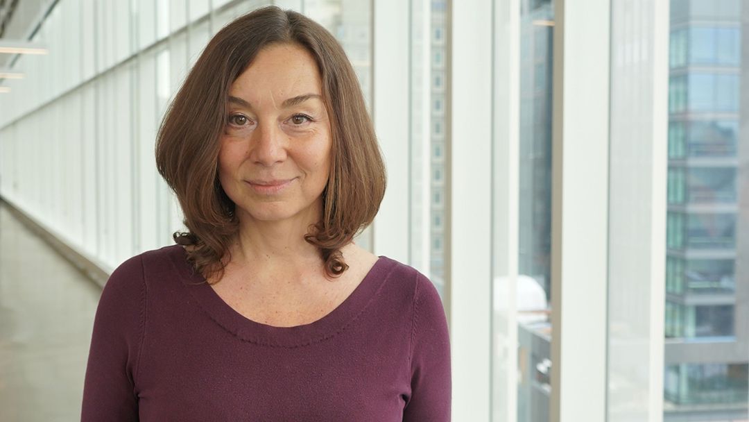 Les sommets du cinéma d'animation